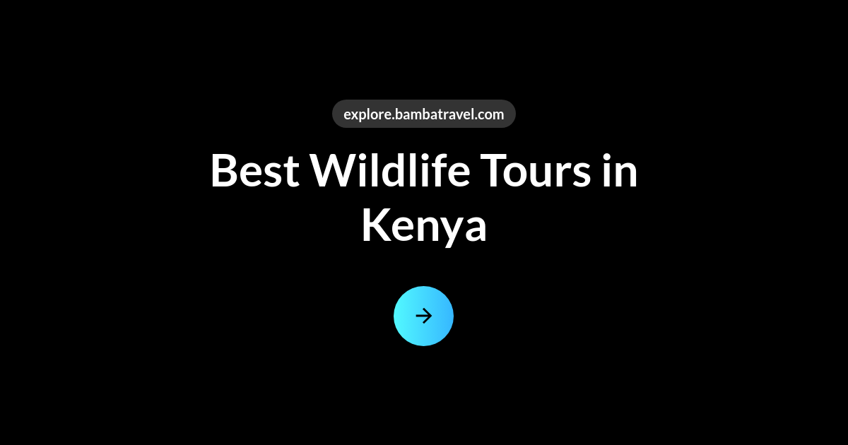 Best Wildlife Tours in Kenya - Bamba travel